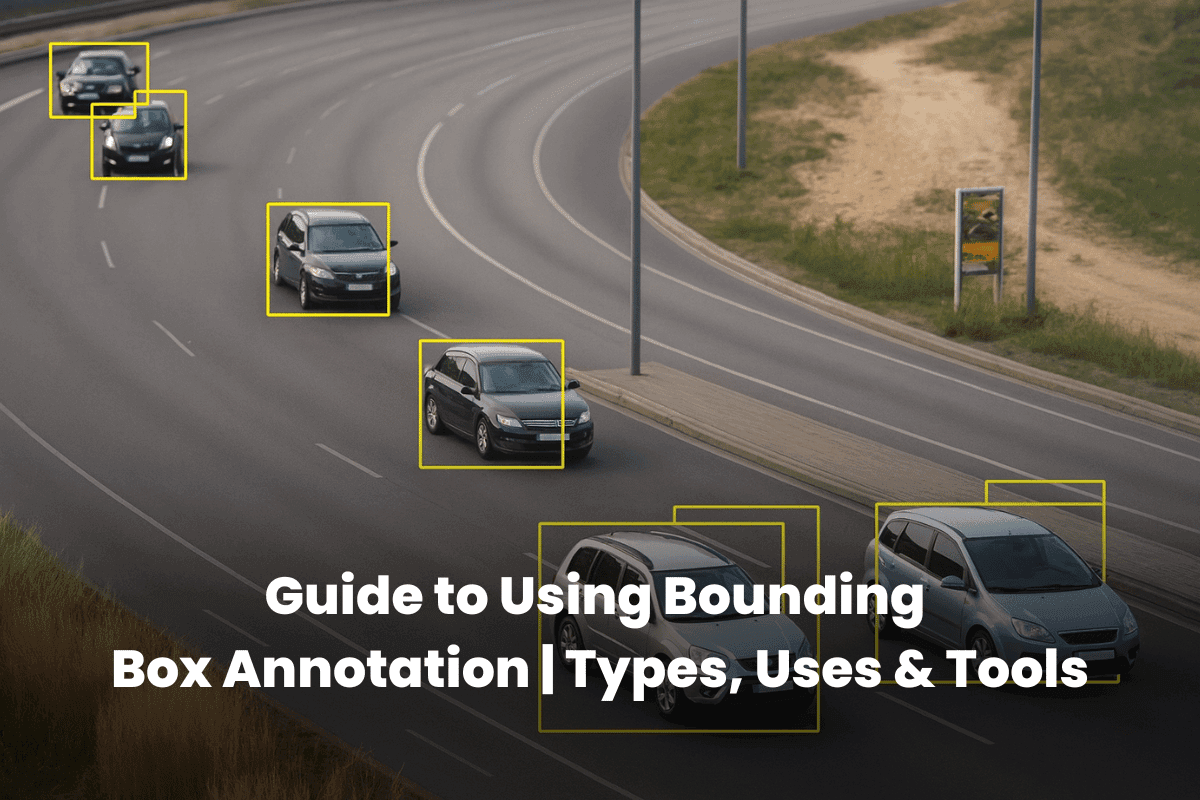 Guide to Using Bounding Box Annotation | Types, Uses & Tools