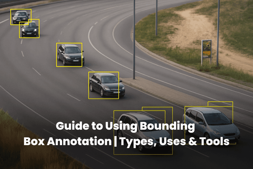 Guide to Using Bounding Box Annotation | Types, Uses & Tools